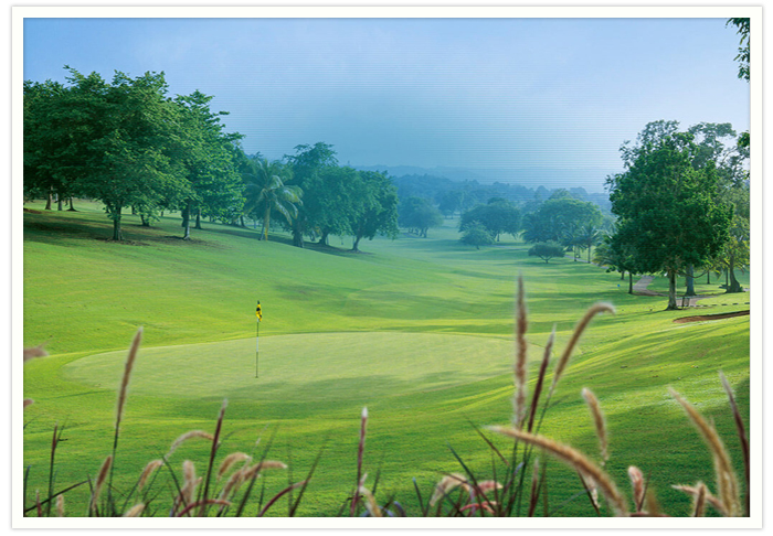 The Top 10 Best Golf Courses on the Island of Jamaica